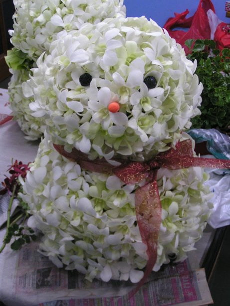 Tropical Snowmen - Toh Garden: Singapore Orchid Plant & Flower Grower